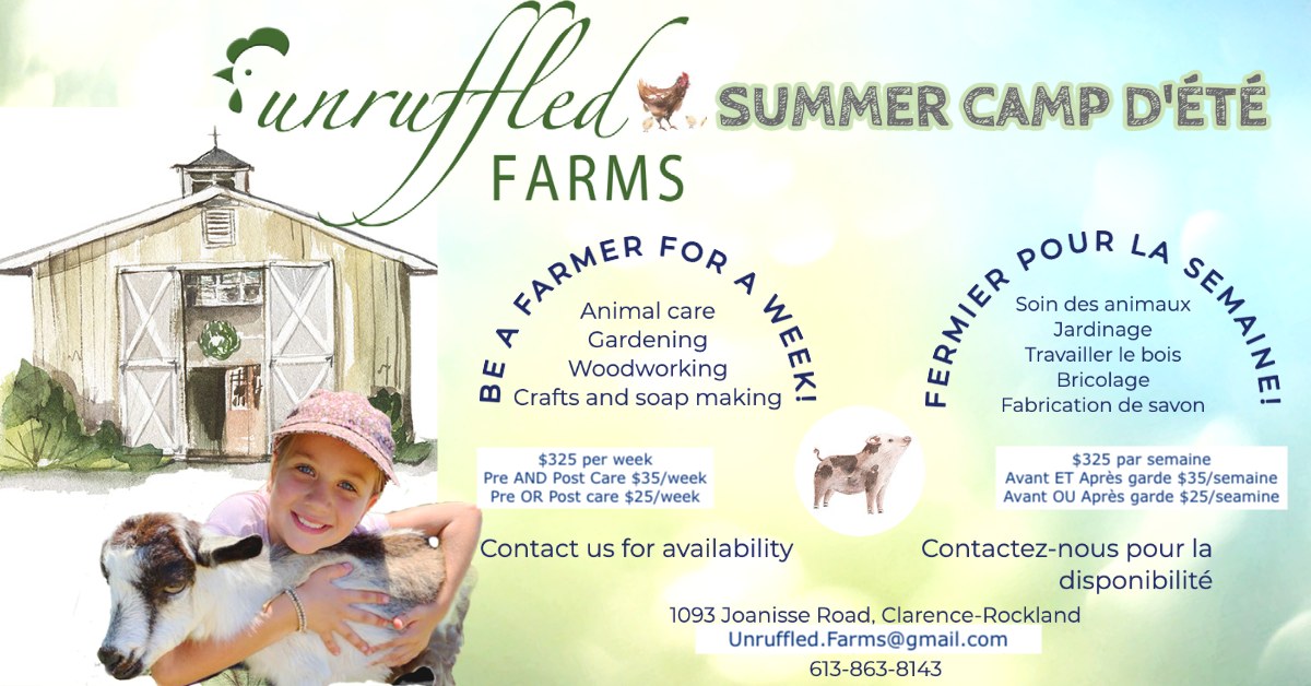 2024 Farm Camps! – Unruffled Farms